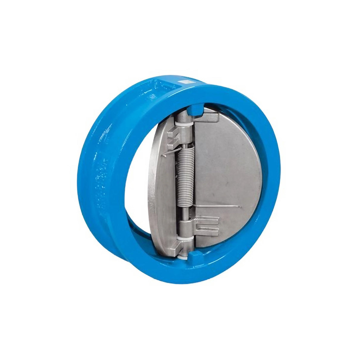 Dual Plate NRV – Jagit India Pvt Ltd